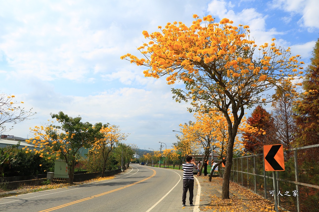 多媒體檔案(IMG_8905) @可人之家